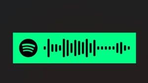 Spotify Codes: Complete Guide. - BurnLounge